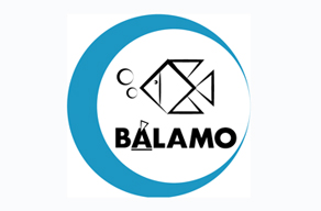 BÁLAMO » Calle Cooperación 11. Alcorcón.