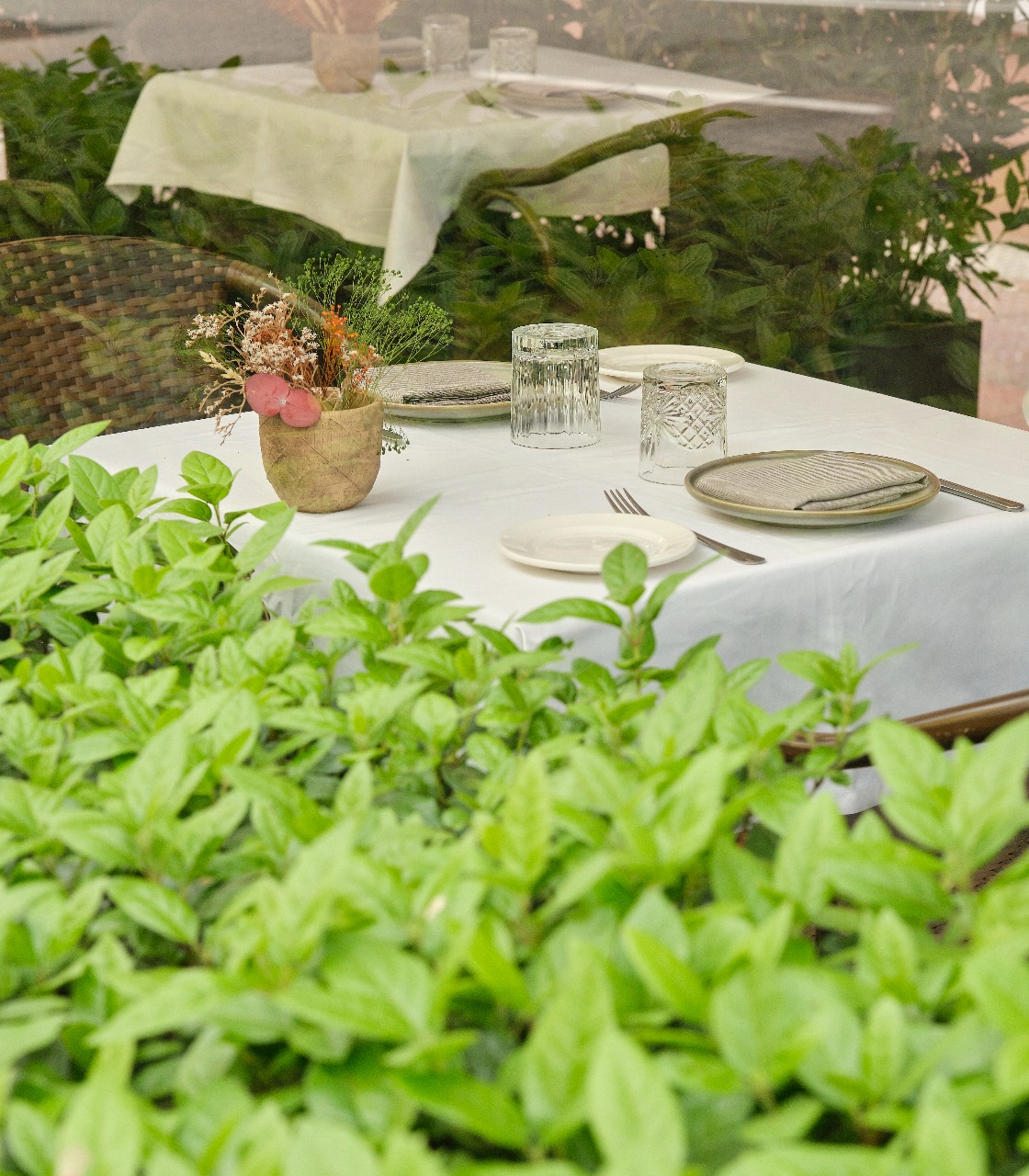 CALISTO RESTAURANTE » Paseo de Eduardo Dato, 8. Madrid.